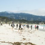 Line and Wash Beach Landscapes - Ball Point Pens vs. Pigment Liners ...